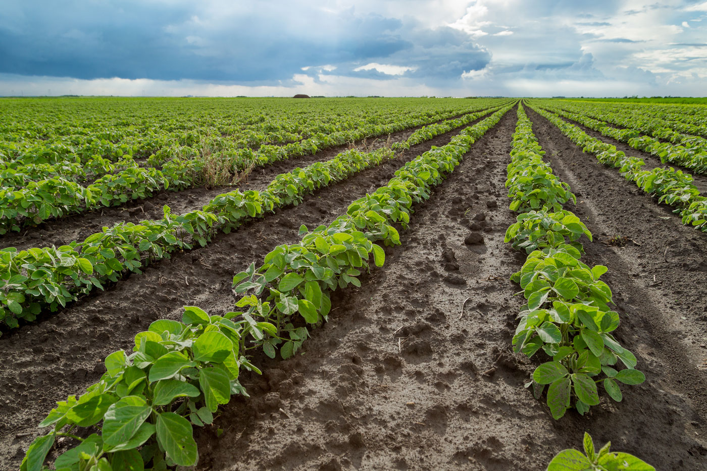 about-header-3a | NutrientStar